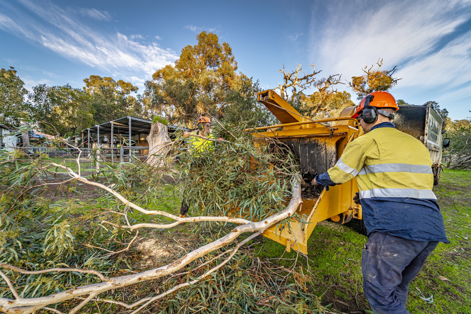 Reviews - MPS Tree Services