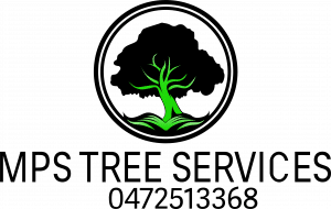 Tree Removal Mandurah | Tree Lopping - MPS Tree Services